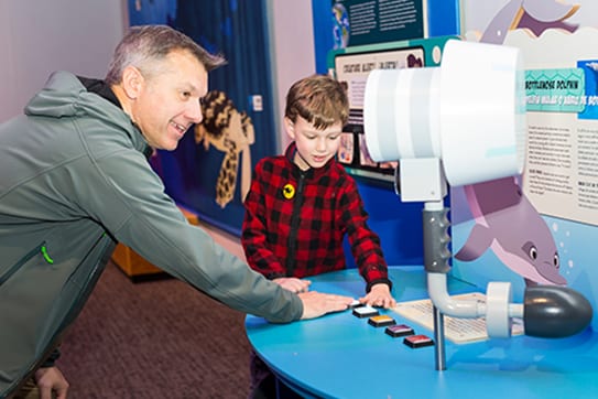 Wild Kratts: Ocean Adventure! - Wild Kratts