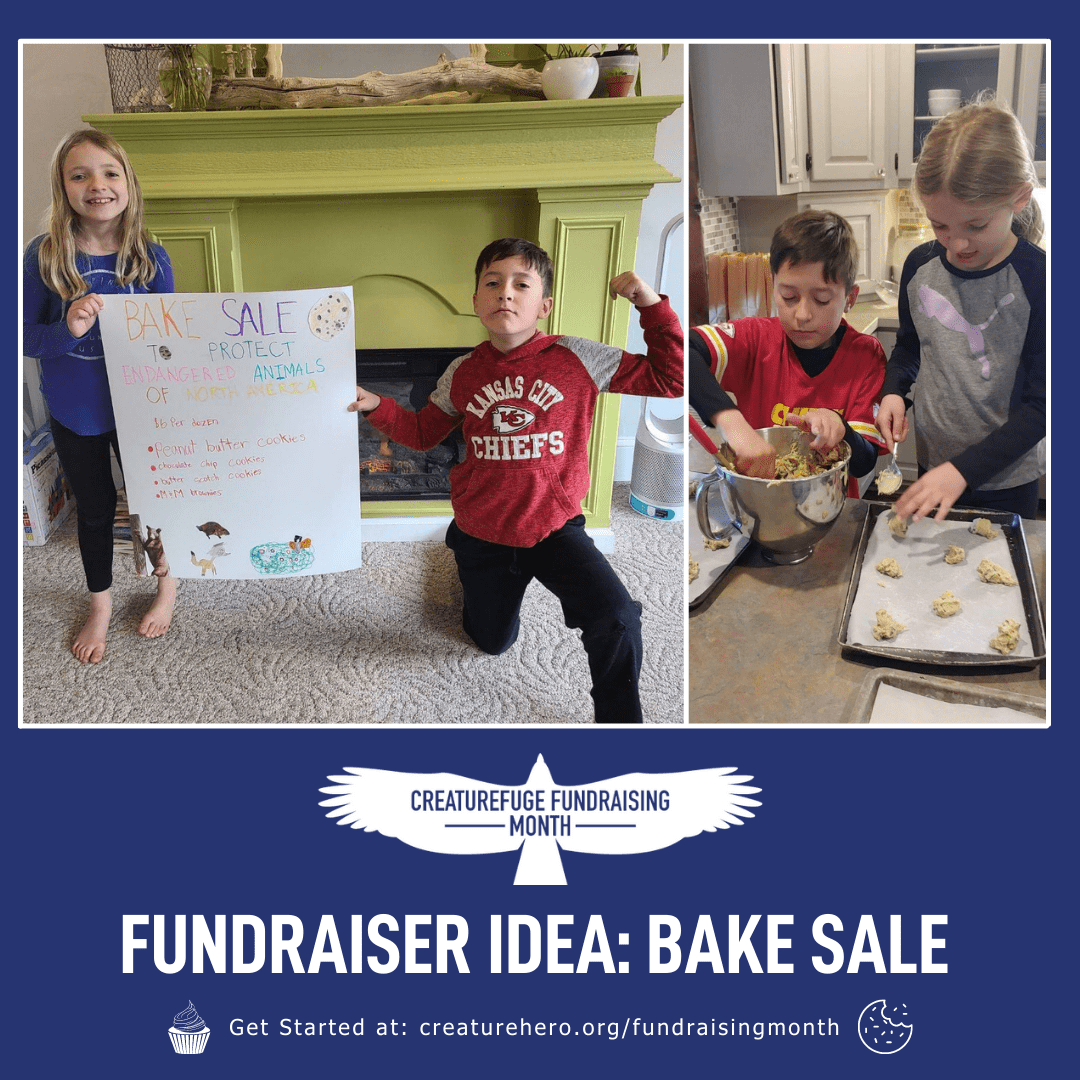 The Kratt Brothers are Fundraising for a New Wildlife Refuge! - Wild Kratts